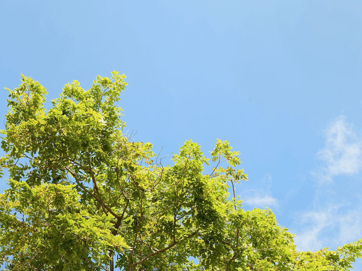 OncQue Corporation | Roll Ball Switch, Tilt Switch, Tip Over Switch ...